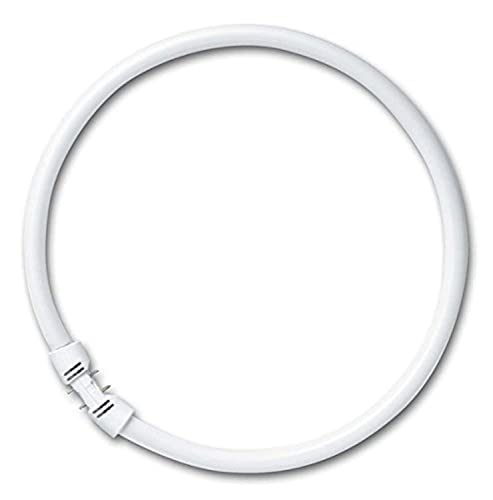 Osram Lumilux T5 Circular Fluorescent 2Gx13 LED Tube Cool Daylight 40W