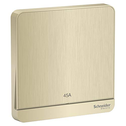 Schneider Electric Avatar On E8331D45N_GH 45Amps Double Pole Switch wi
