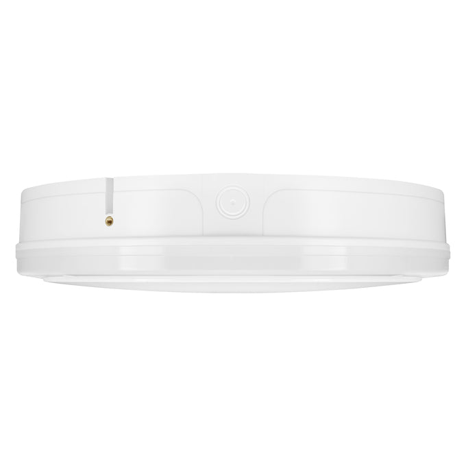 Ledvance 15W LED Surface Bulkhead 300 4000K On/Off IP65 IK10 Wall & Ce