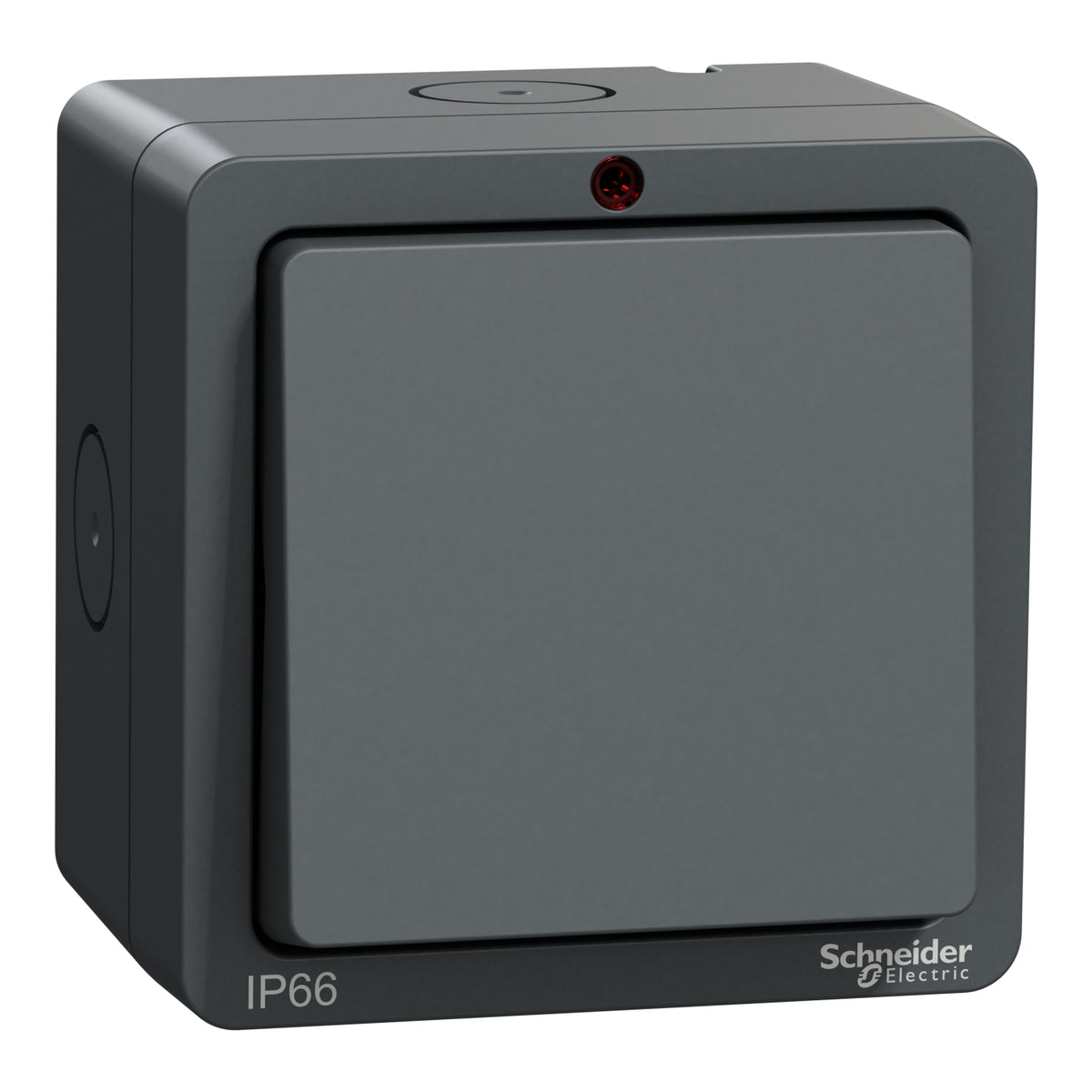 Schneider Electric Lisse Weatherproof Switch, IP66, 1-Gang, 2-Pole, 20