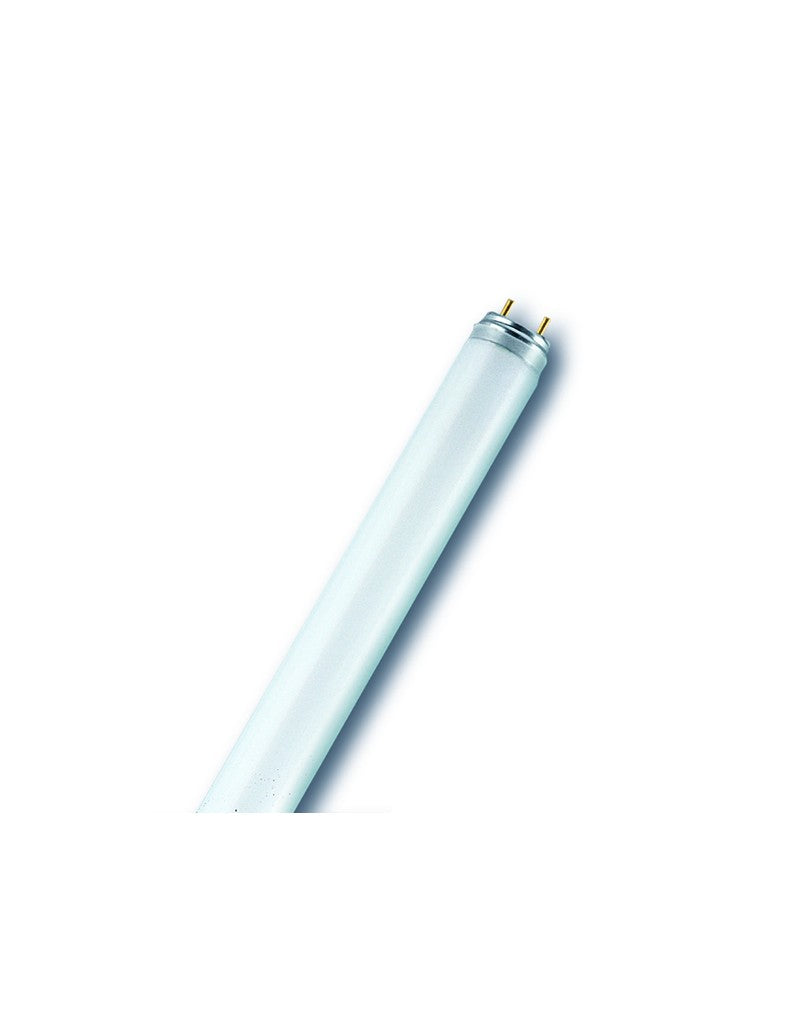 Osram Fluorescent Tube Basic T8 L 58 Watts 6500K Daylight White G13 ...