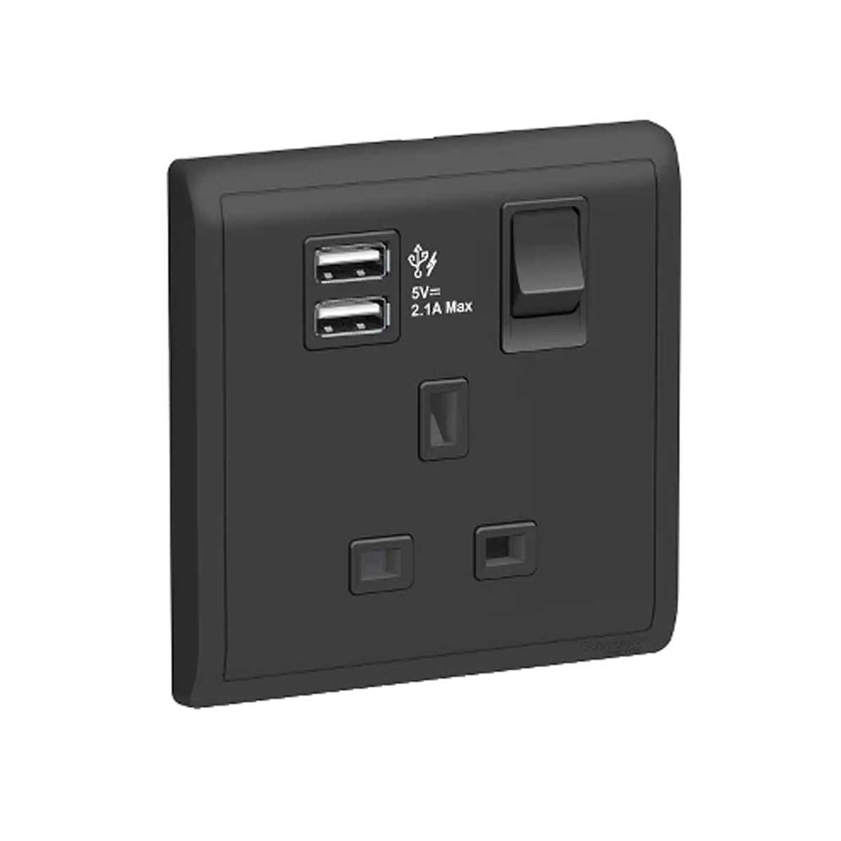 Schneider Electric AvatarOn Switched Socket 2 USB Charger 3P 13A 250V