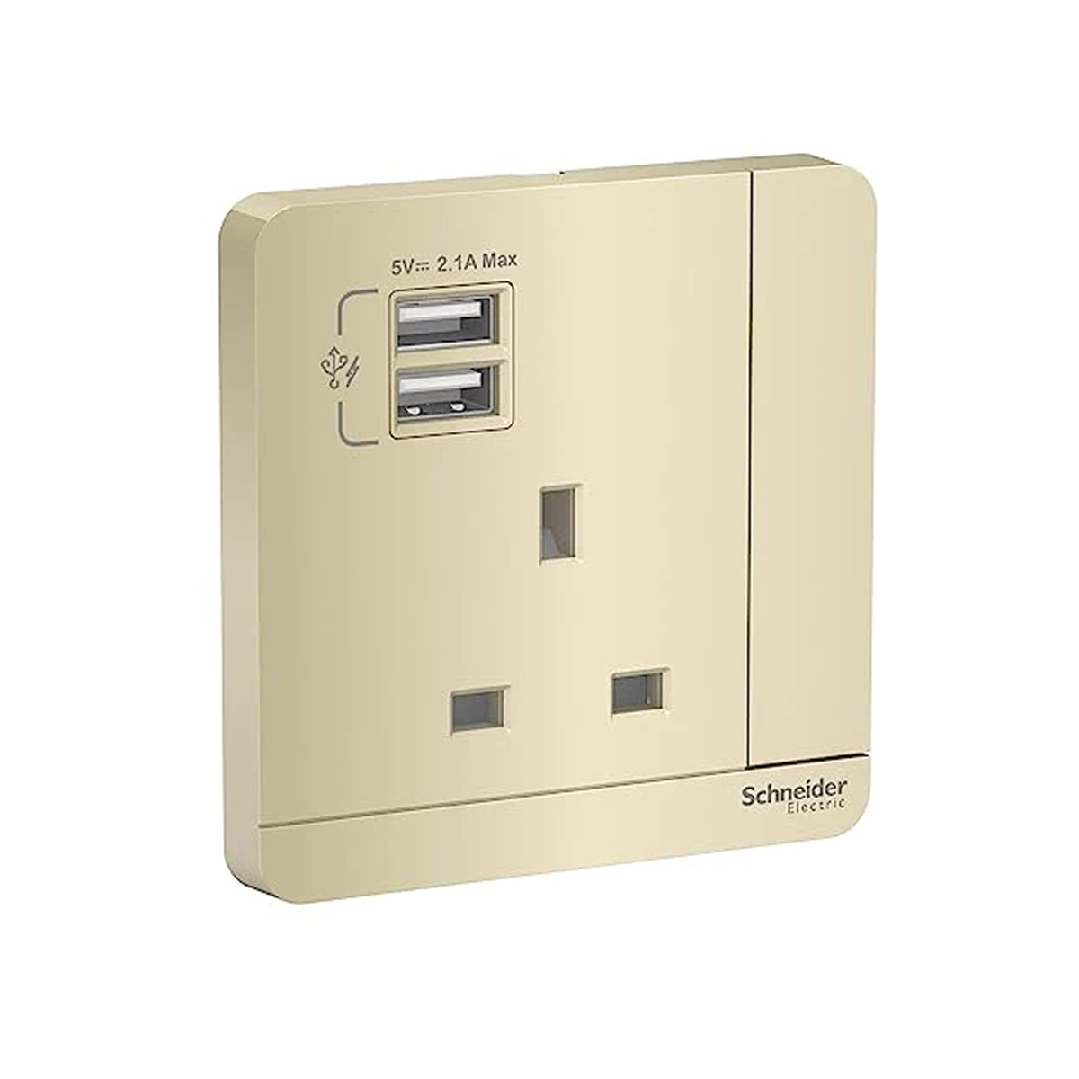 Schneider Electric AvatarOn Switched Socket 2 USB Charger 3P 13A 250V