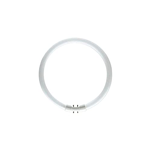 Osram Fluorescent Circular Tube Light Lamp, T5Fc 22W,1800 Lumen ( Cool