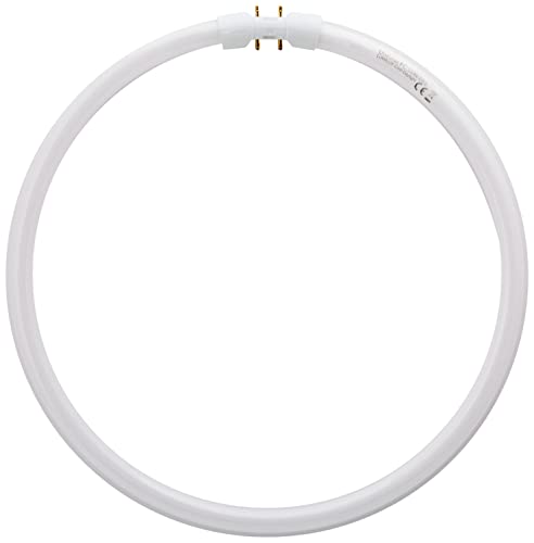 Osram Fc 55 Watt 865 Daylight 2Gx13 Circular Ring Lamp