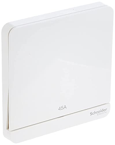 Schneider Electric AvatarOn Double Pole Switch With LED 45A 250V - Gold ...